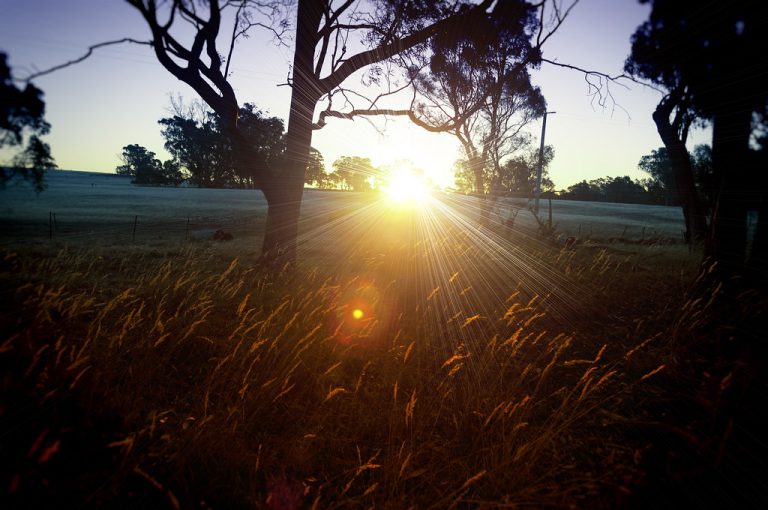 How to Drive Safely with Sun Glare and when the Sun is Directly Facing ...